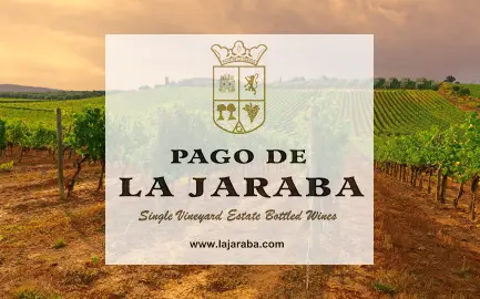 Pago de la Jaraba: Exquisite Weine aus traditionellem Handwerk | DEWEIN